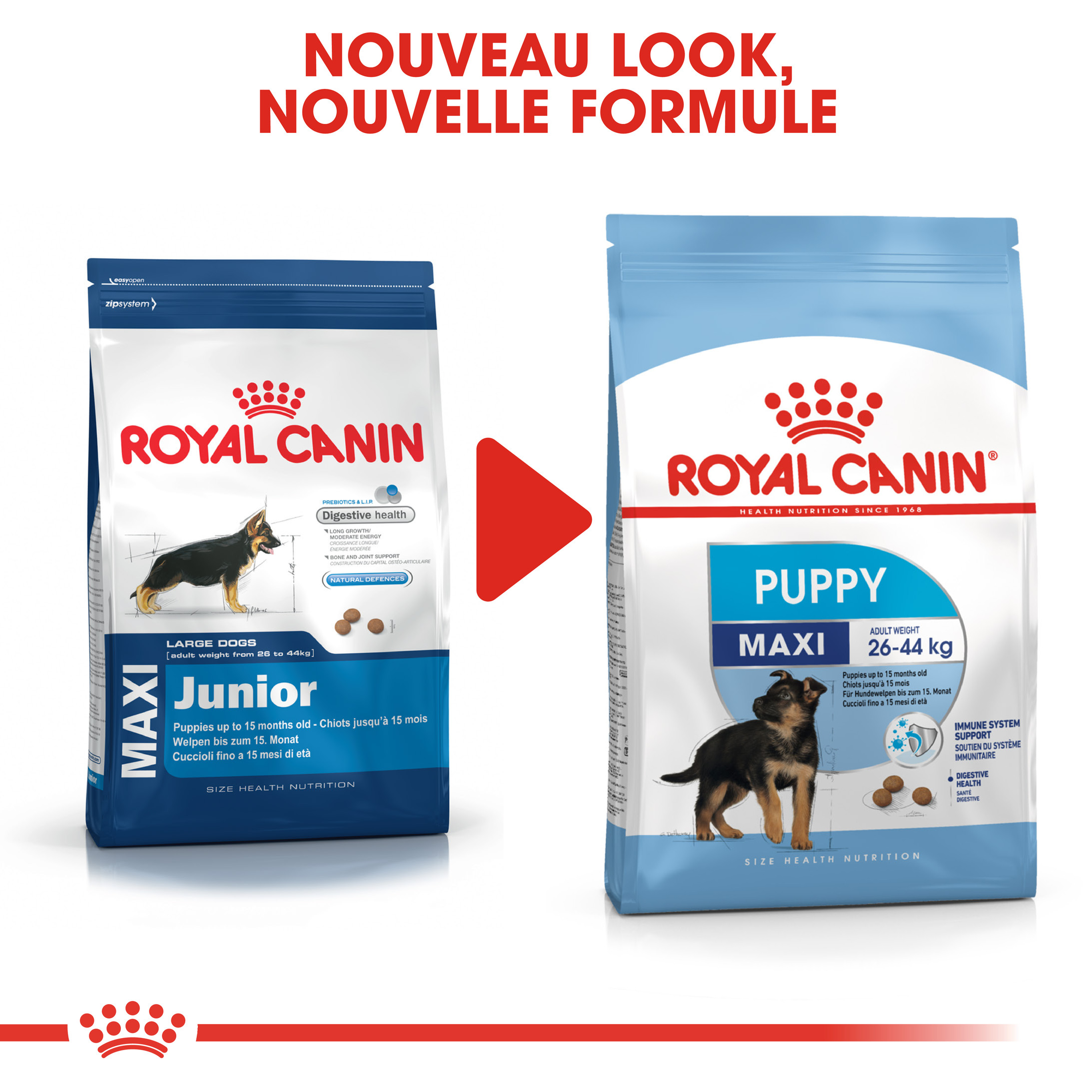 Croquettes Royal Canin Maxi Junior pour chiot Croquettes Royal Canin Maxi Junior pour chiot