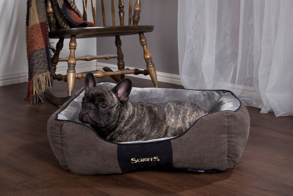 Scruffs Chester Box Bed panier pour chien graphite | Super confortable